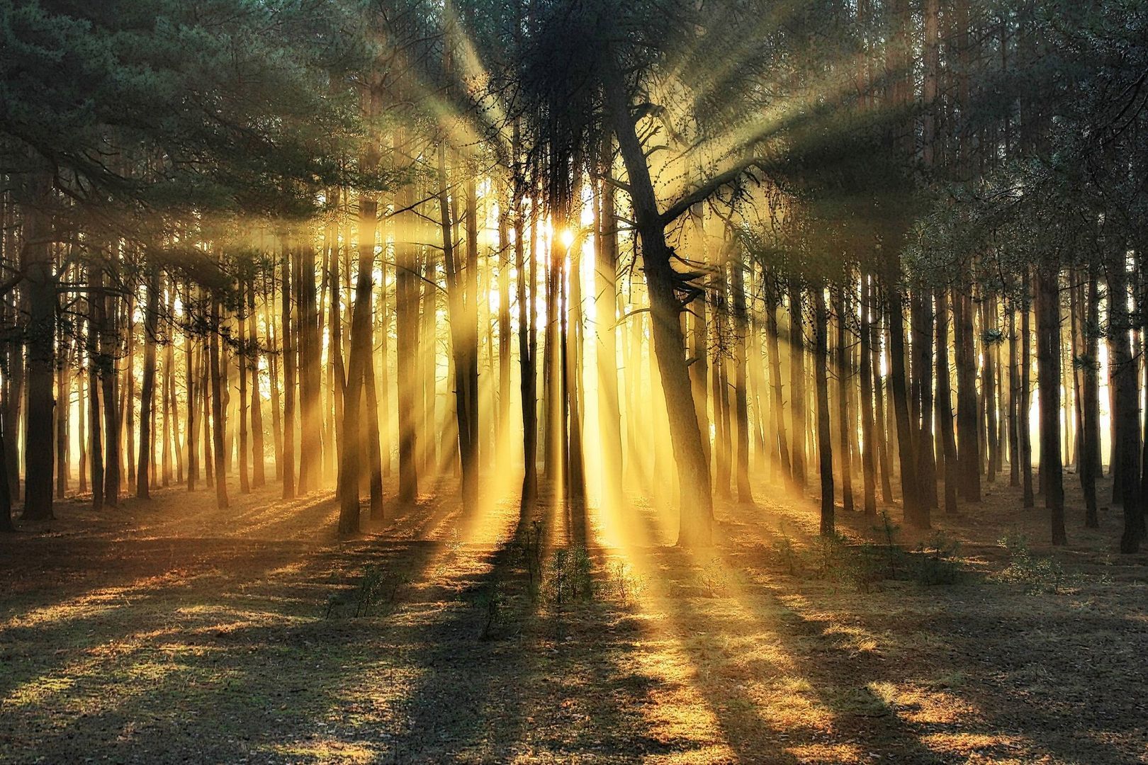 Job and the Sustaining Power of Fearing God